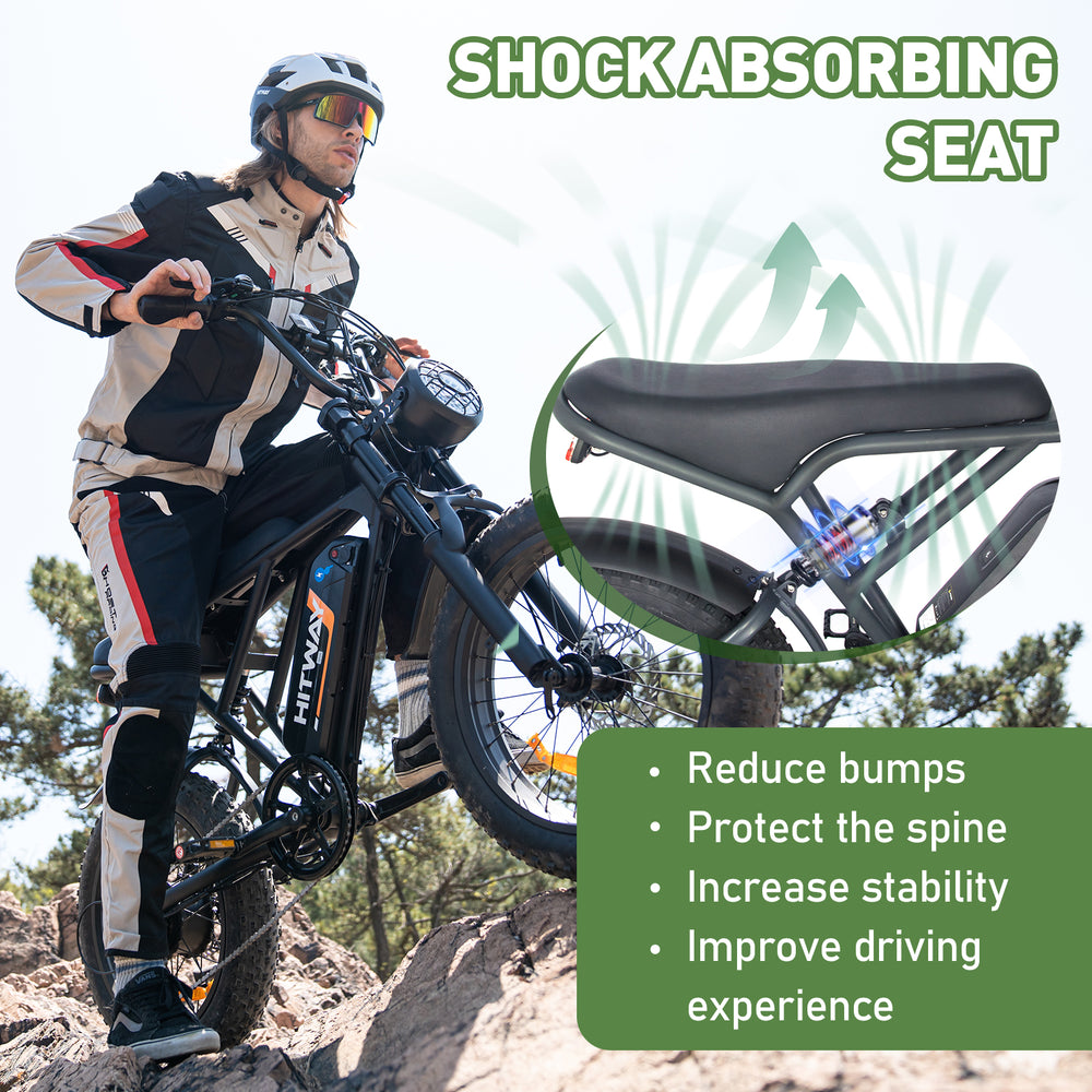 BK29M Retro Electric Bike